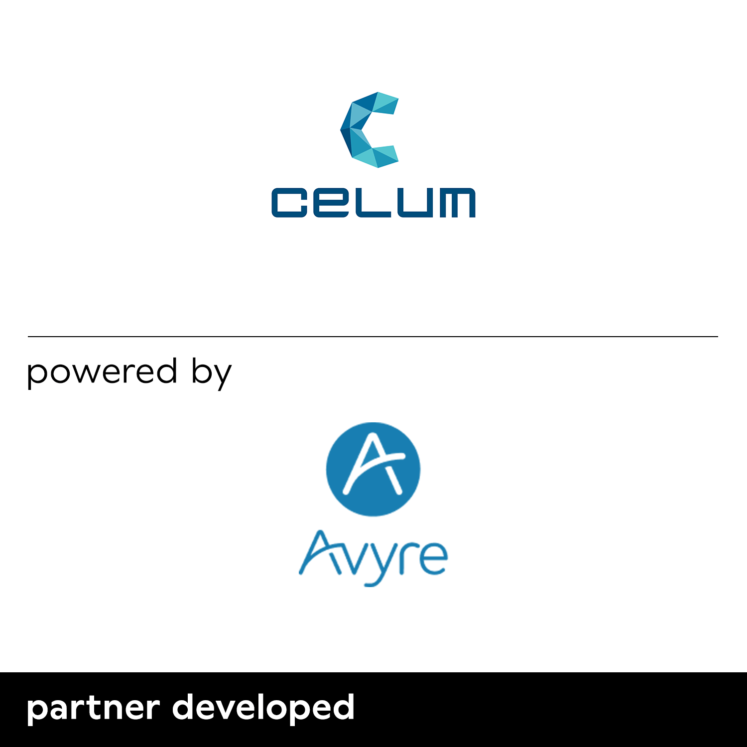 CELUM DAM Connector (powered by Avyre) for Inriver