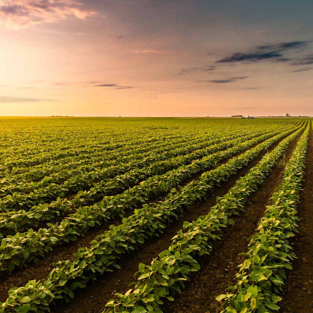 What is product content syndication? A complete guide | Inriver