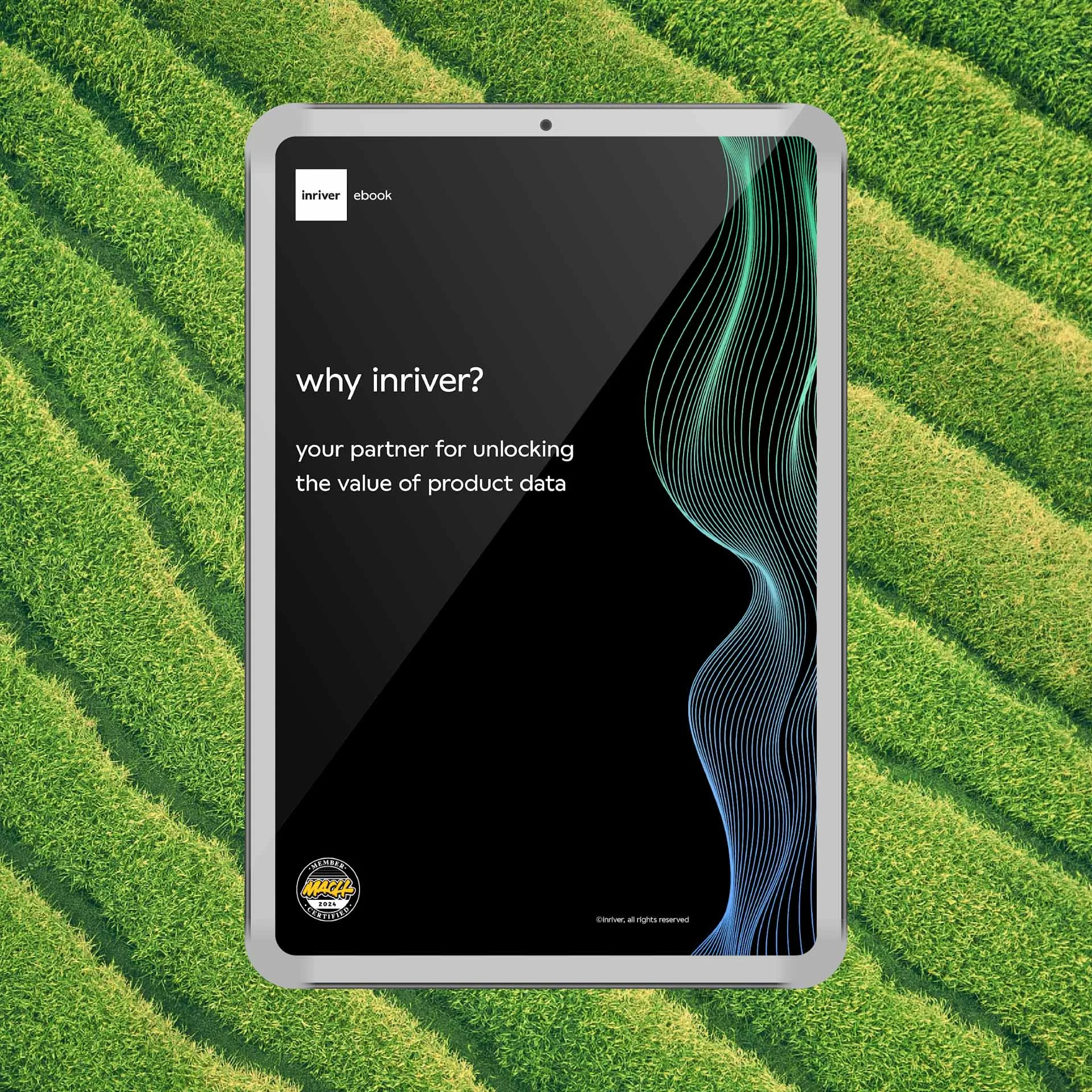 Why inriver? Your partner to unlock the value of product data | Ebook