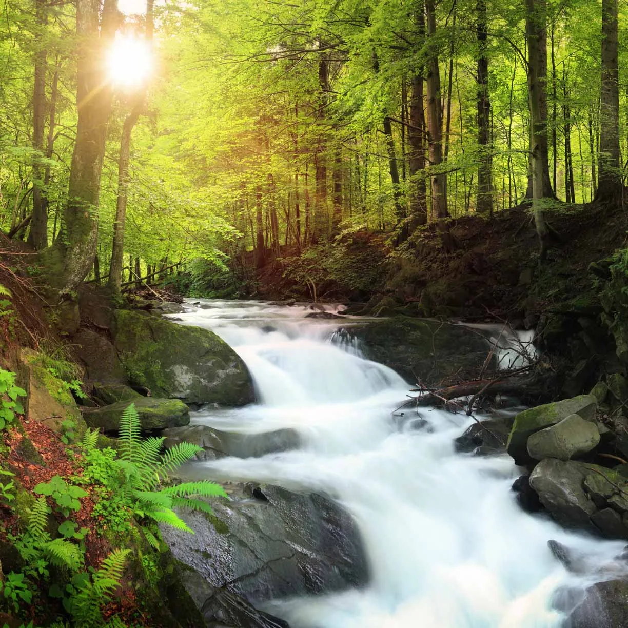 Single source of truth: 4 key benefits | Inriver